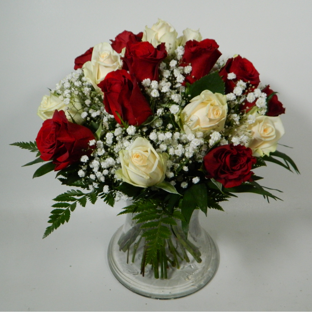 Der Klassiker in rot/weiß - Raab Rosen